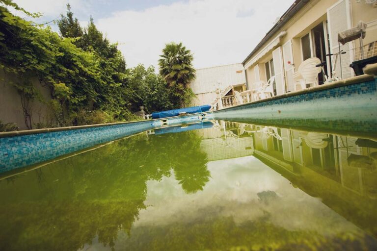 Brown Pool Water: Causes & Solutions | Pool Supplies